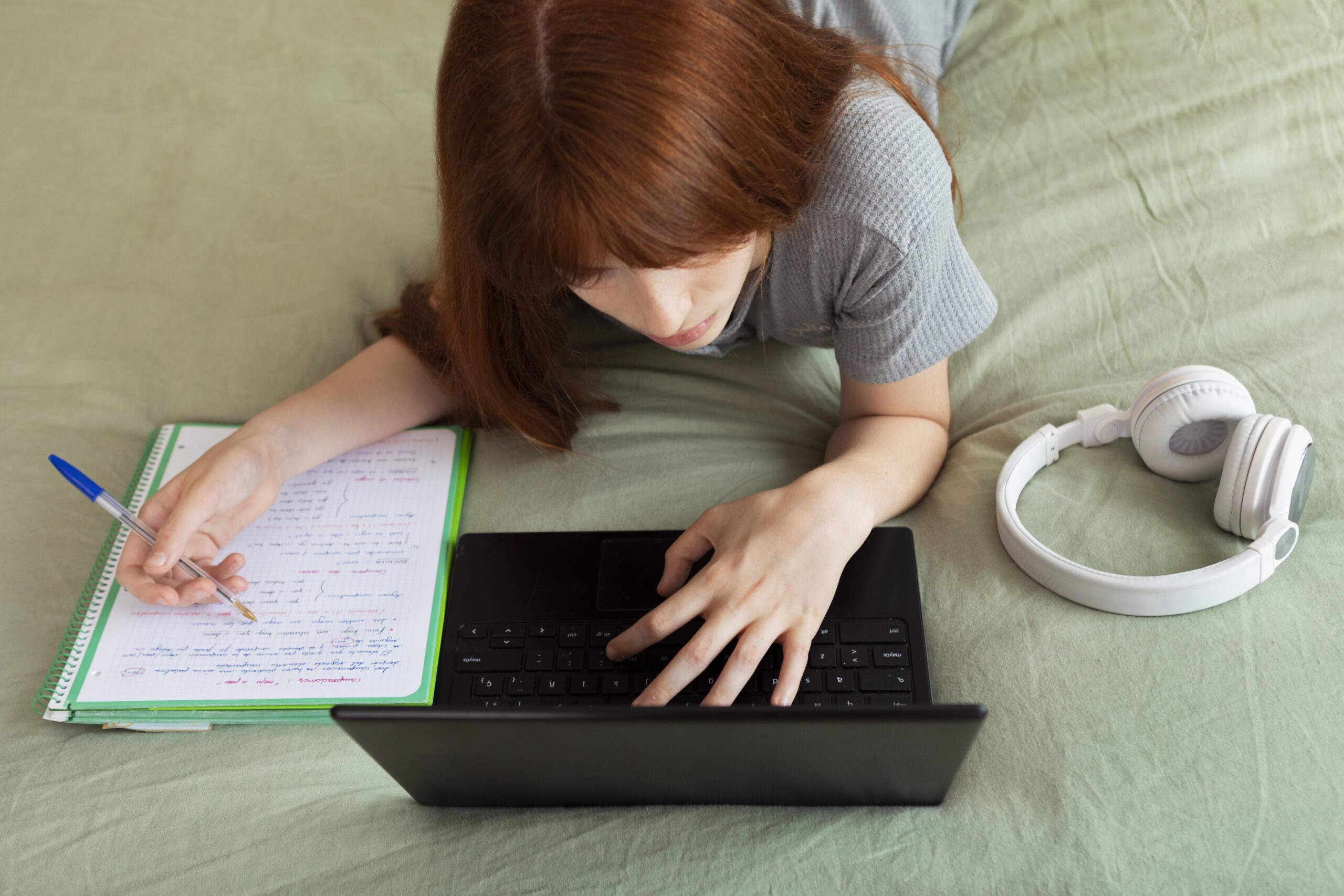 Basic Check vs Multicheck, differences explained | studypeak